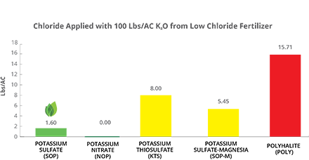 Reference the Salt Index image