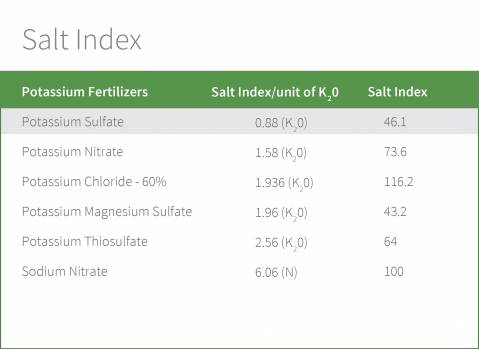 Reference the Salt Index image